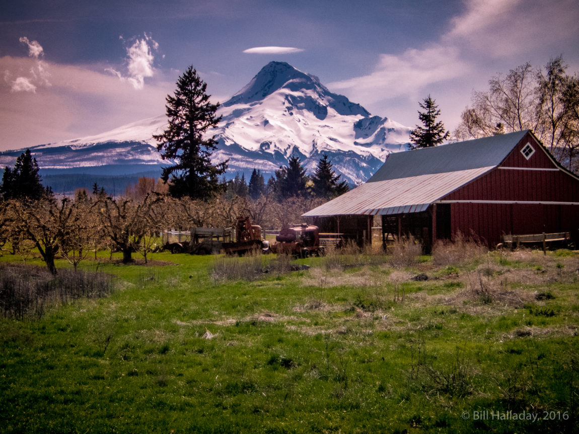 Solera Brewery | A brewery in Parkdale, OR